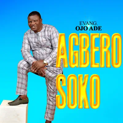 Evangelist Ojo Ade - Ayo N Bo Lona PraiseDrops